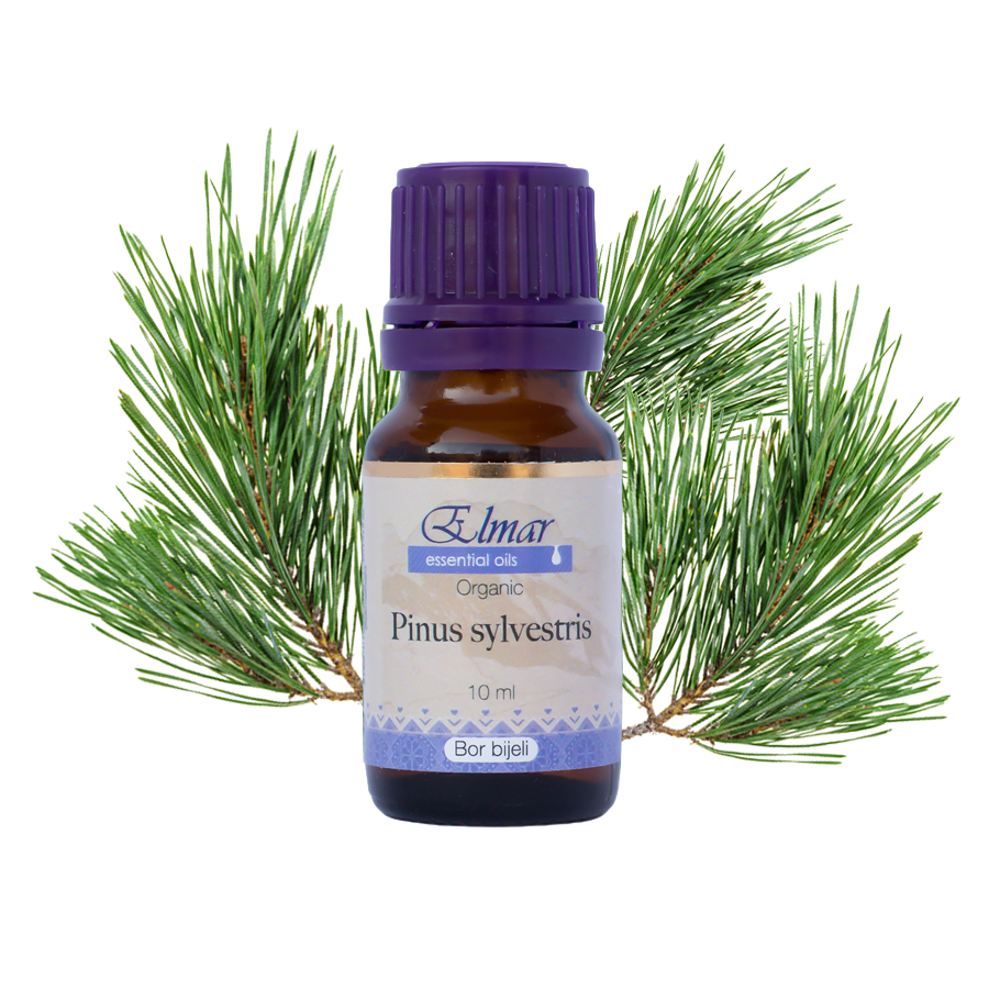 Eterično ulje belog bora | Arijamare - eterična ulja